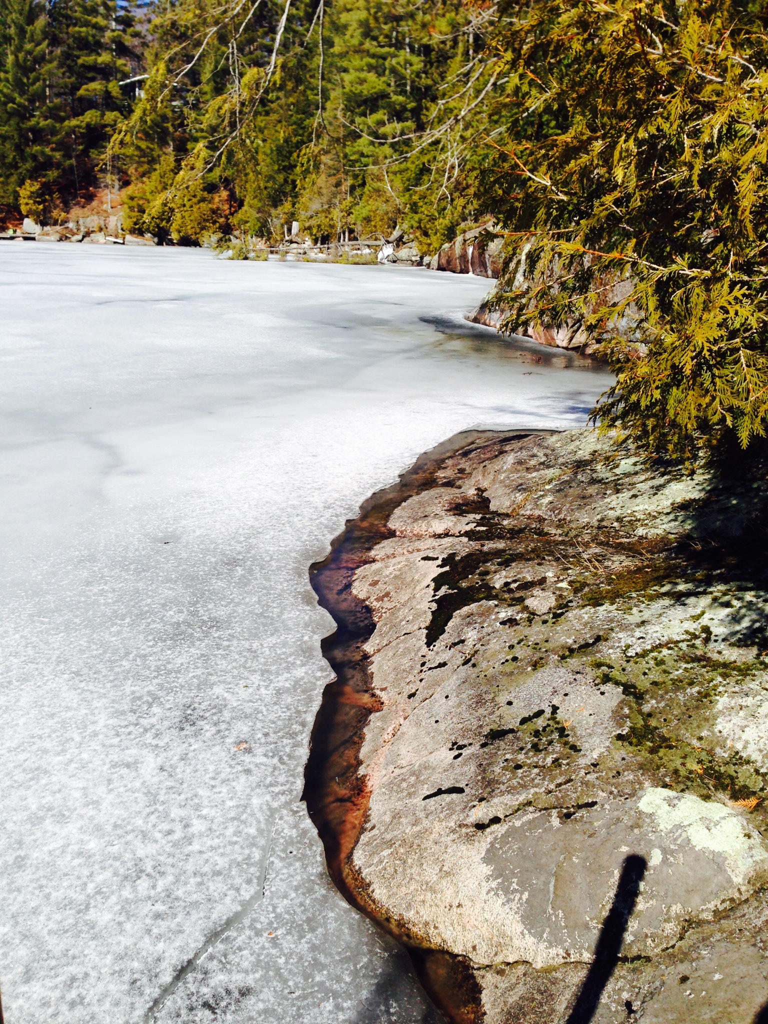 Ice-In and Ice-Out and Ice-Cover – Chandos Lake Science 2